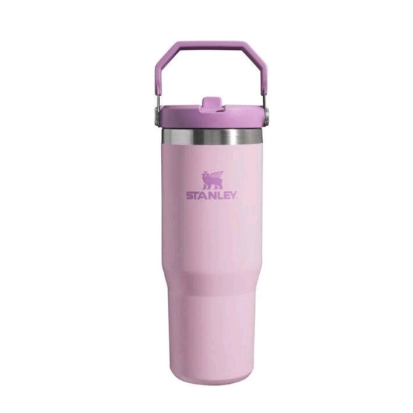 Stanley | Kitchen | Stanley 3 Oz Stainless Steel Iceflow Flip Straw ...
